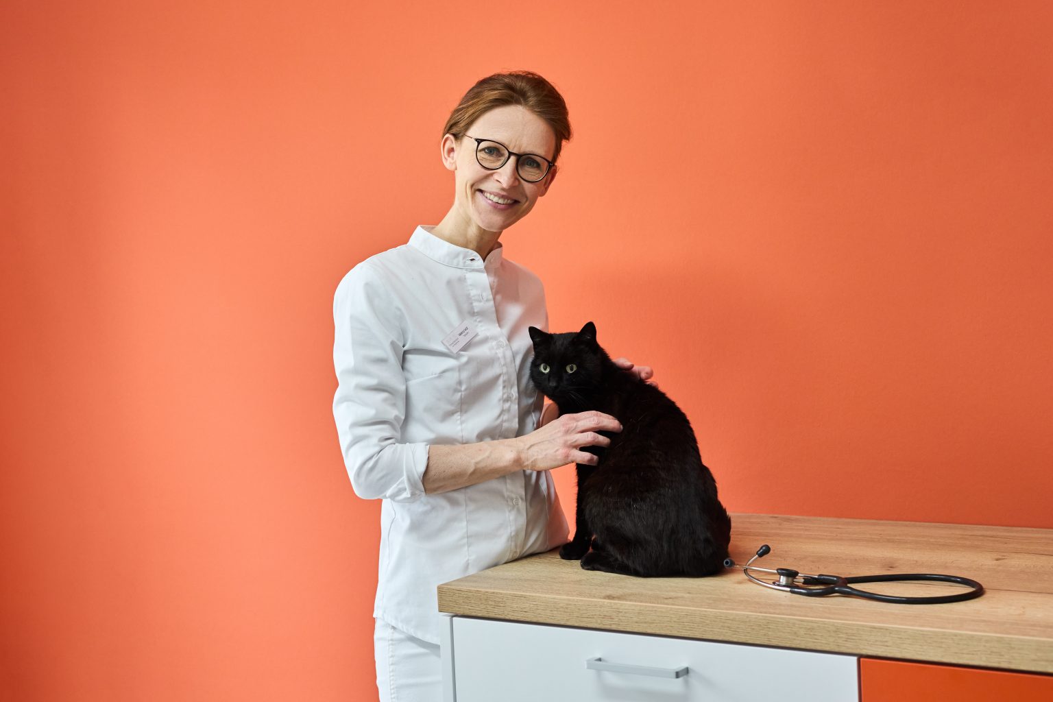 Hautkrankheiten und Allergien - Tierarzt Aschaffenburg - Verena Wolf